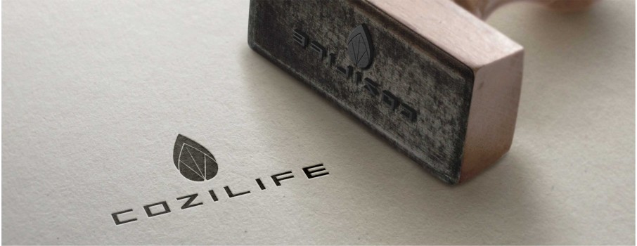 Tramadol paracetamol arrow generique — dans les magasins